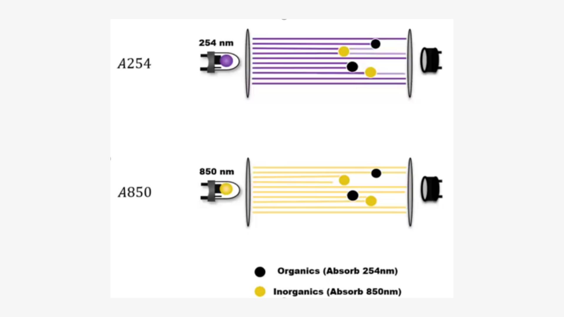 What is UV Transmittance | UV Transmittance and Absorbance