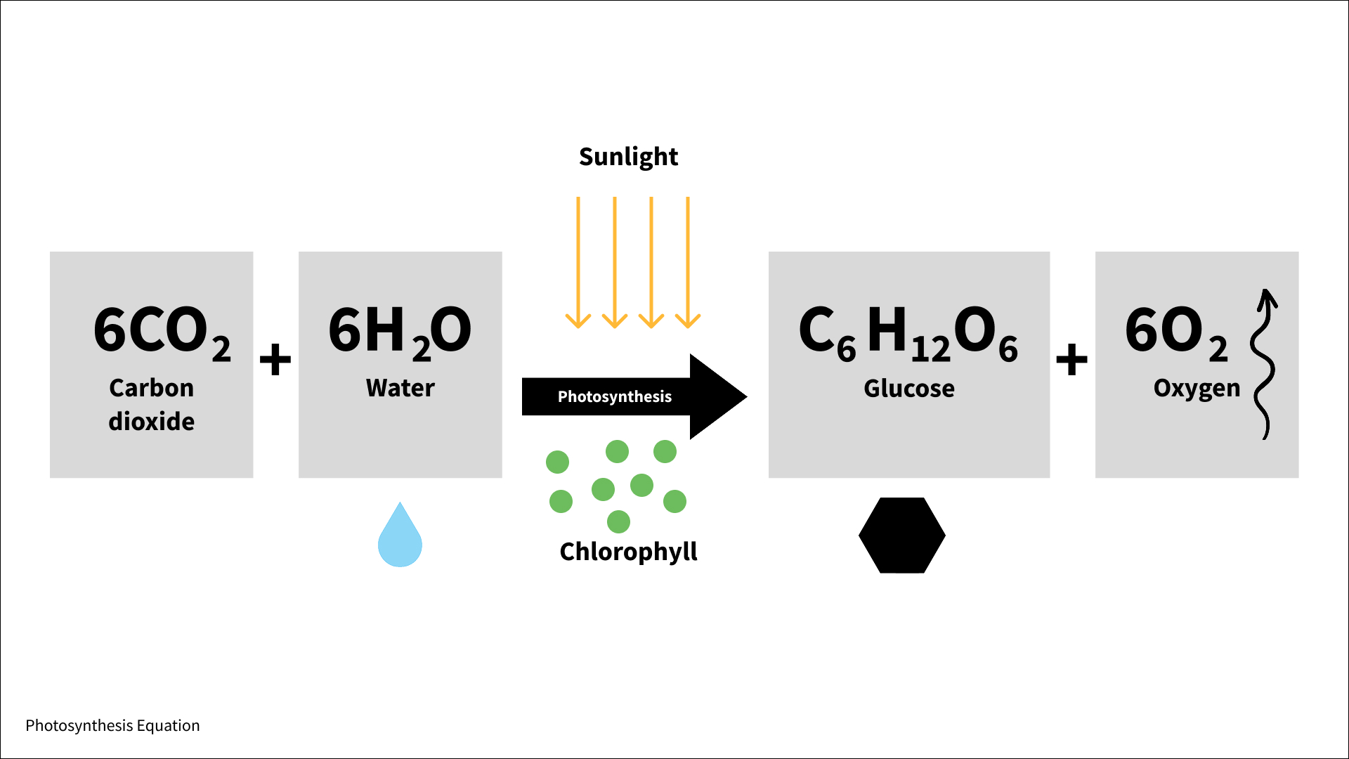 What is Chlorophyll | Chlorophyll a Measurement Methods